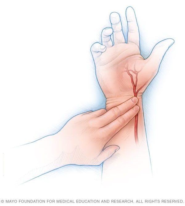 How To Check For Pulse - The Ambulance Company